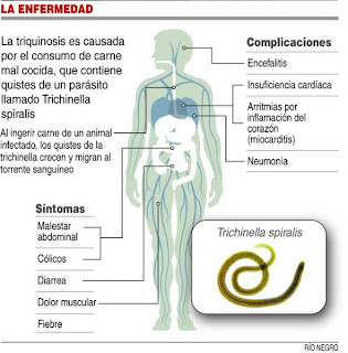 Radio Gregorio Alvarez - Piedra Del Águila - Neuquén: Extienden la ...