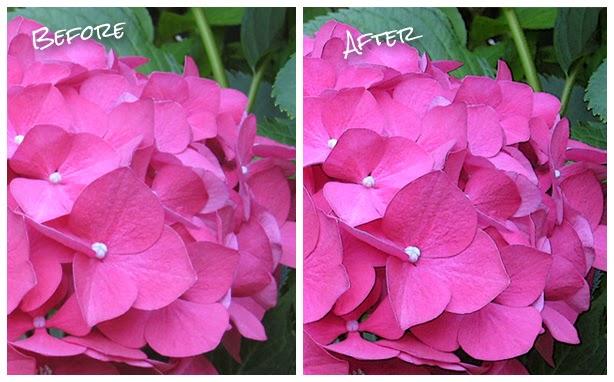 Images-byRamona: Using Poster Edges for Definition