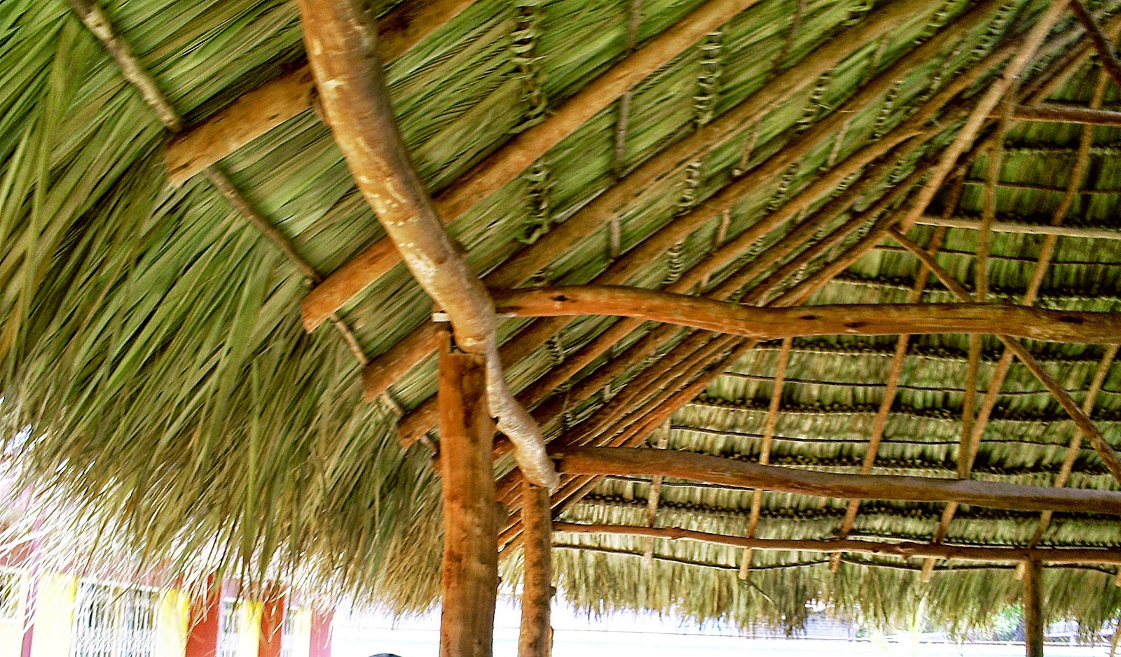 Mis Opiniones, Cuentos y Pasiones: Cuento de Año Nuevo: La Enramada