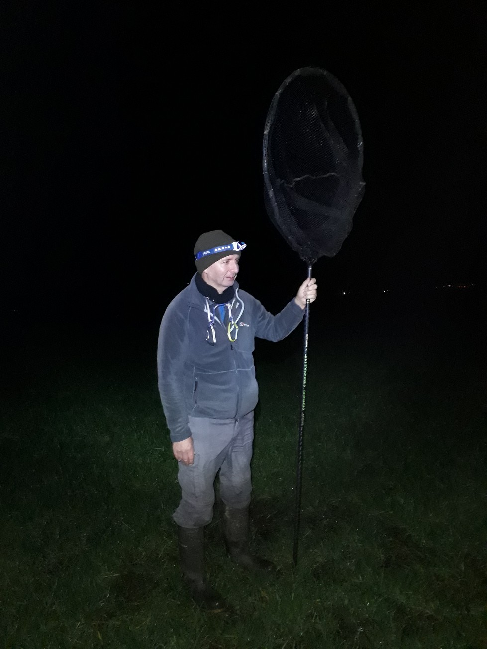 Teifi Ringing Group: 2018