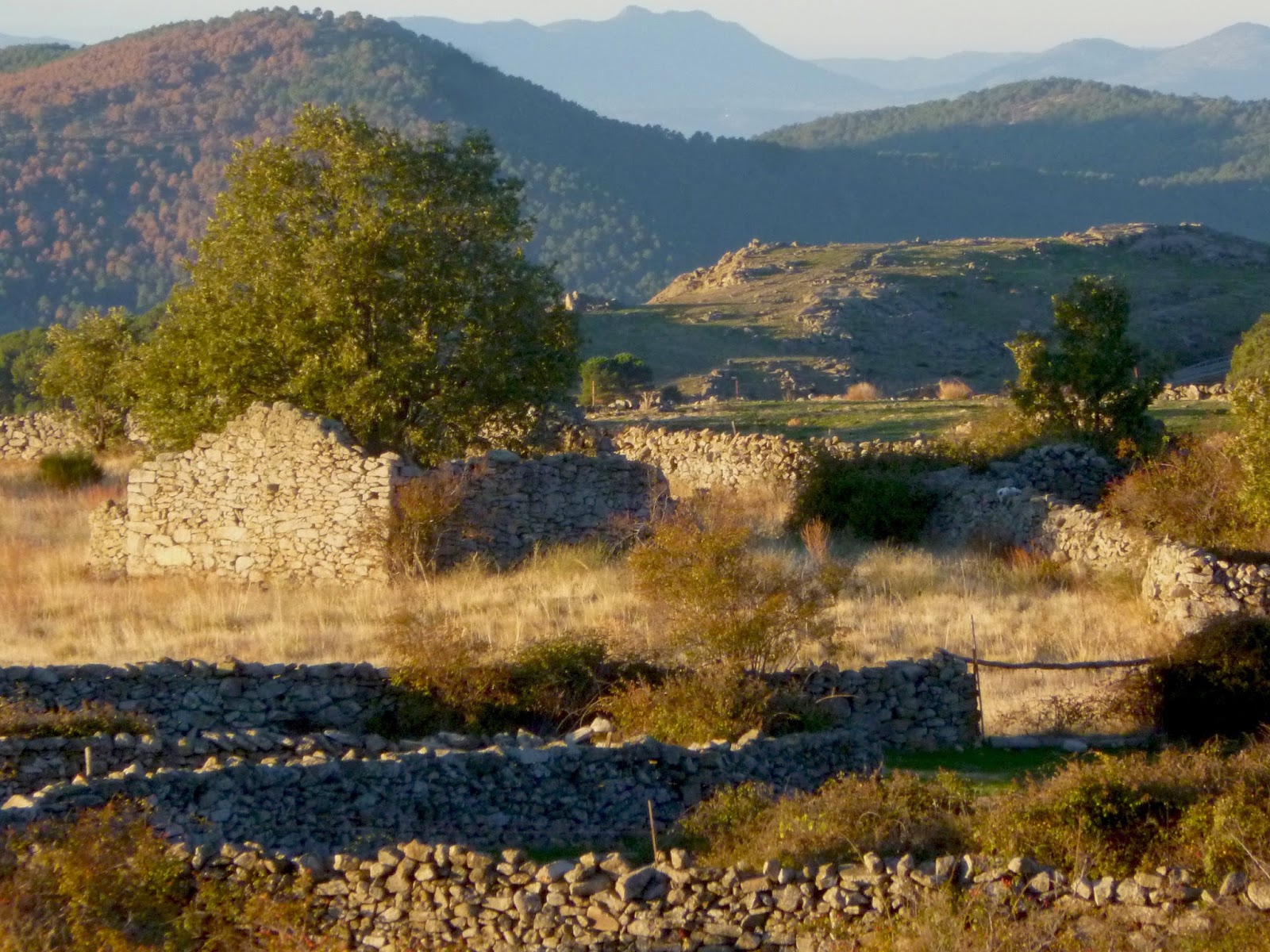 NATURSIERRA: La Lastra, el pueblo de la la ultima mujer lobo