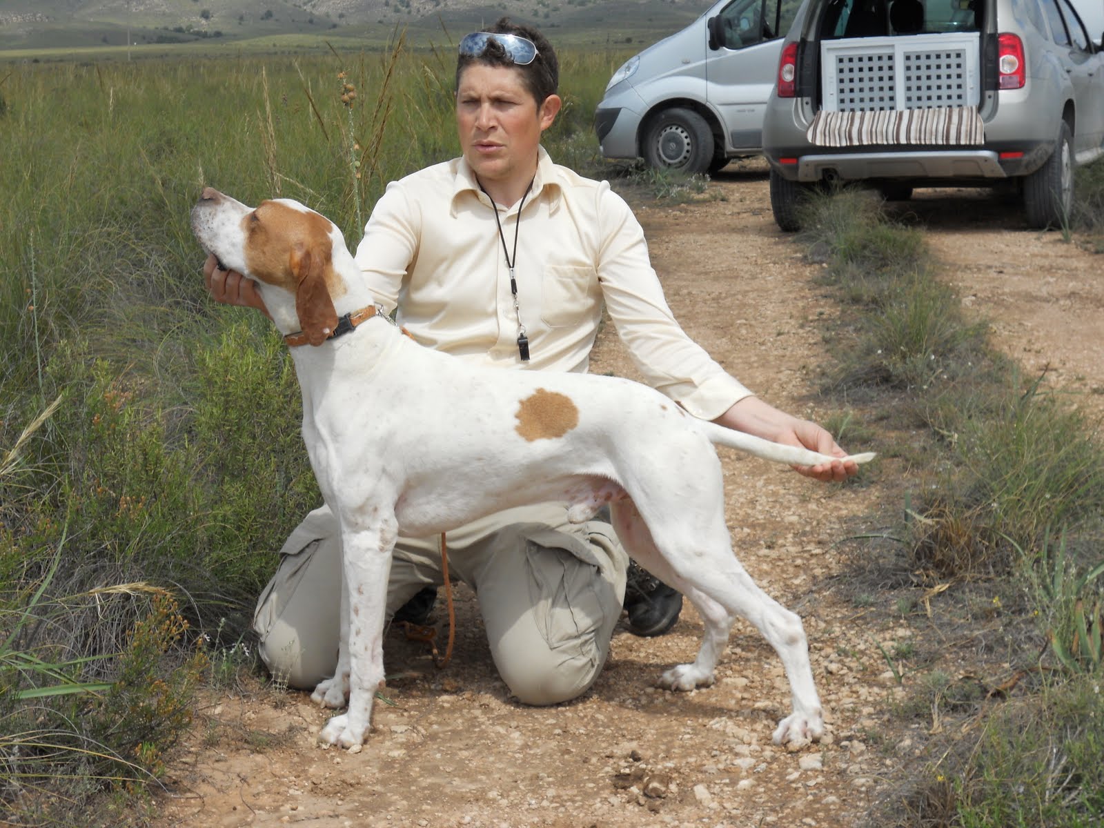 Pointers de Gran Busca Afijo nº 010229: FOTOS POINTERS Y LANCE PROMETIDO