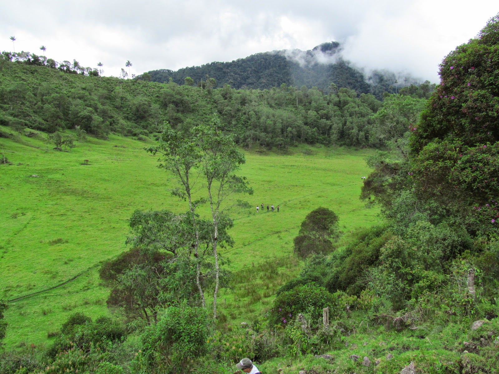 CAMINO DEL QUINDIO: Volcán Cerro Machín