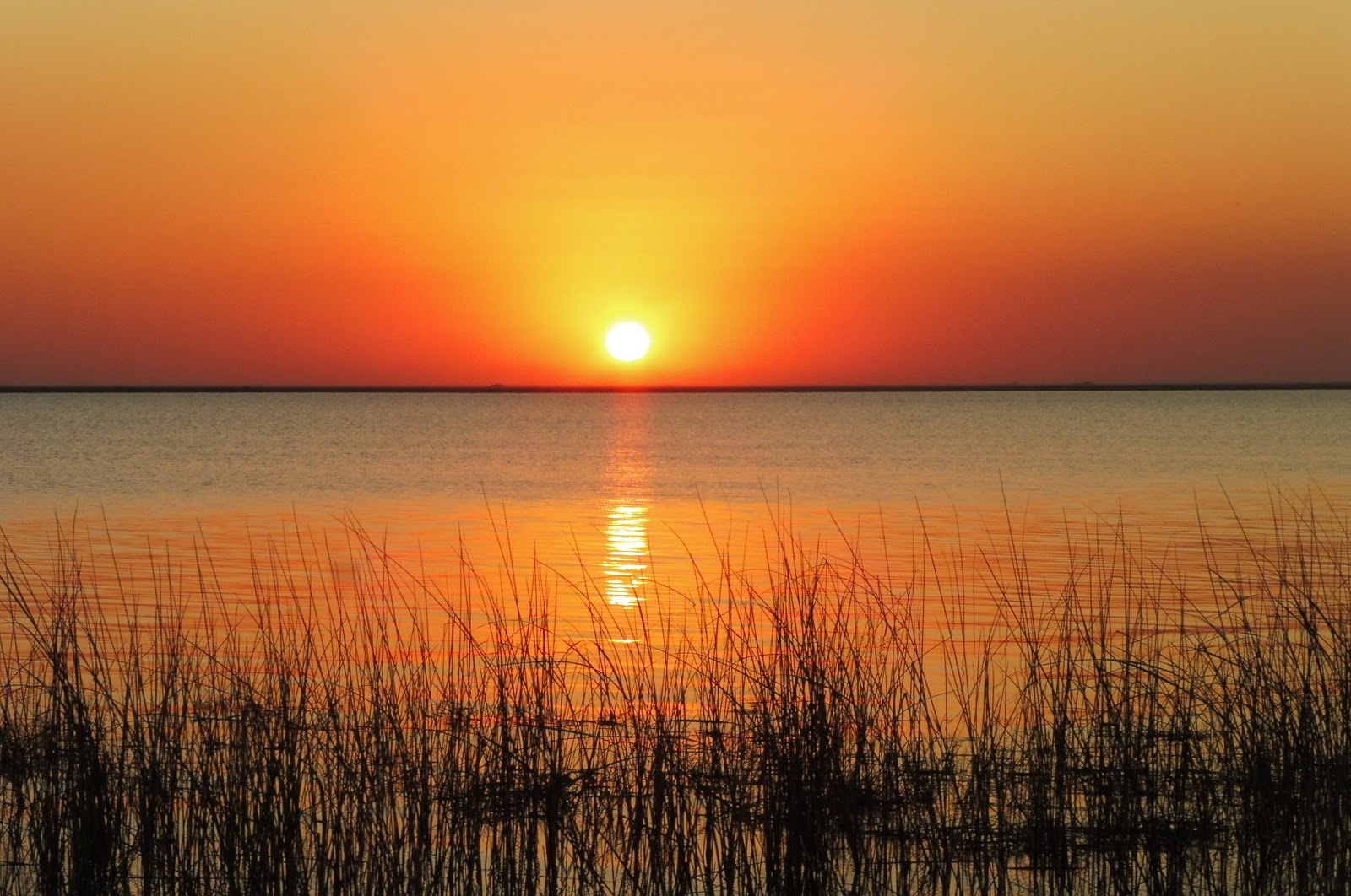 Razón del Gusto: Atardecer en el Iberá