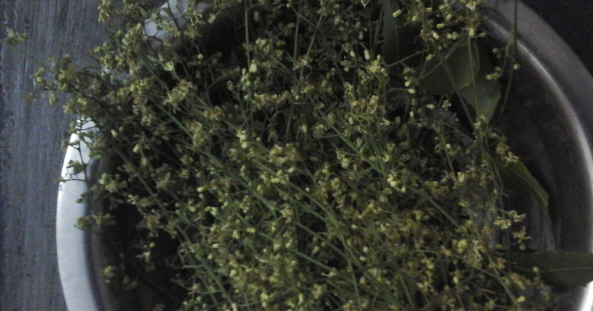 SVL Ayurvedic Healing Herbs: Neem ( In Telugu : Vepa) leaves, flowers ...