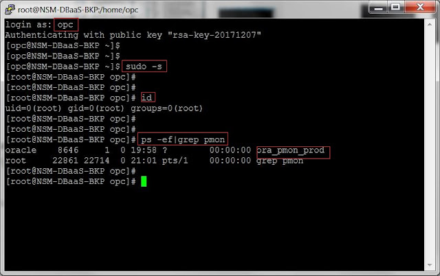 Netsoftmate Technical Blog : Oracle DBCS : Create A Database Deployment With Automatic Backup