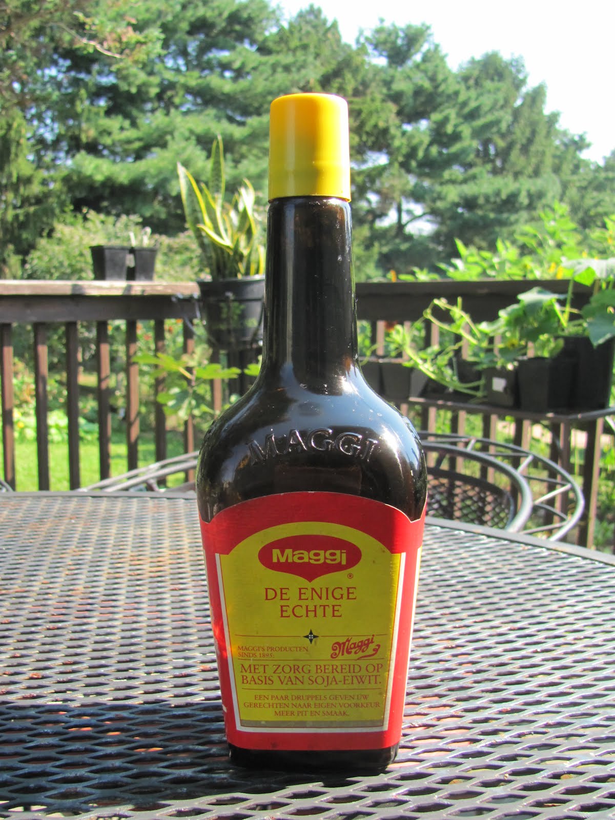 The Wine Sisters Book Club: The Magic of Maggi