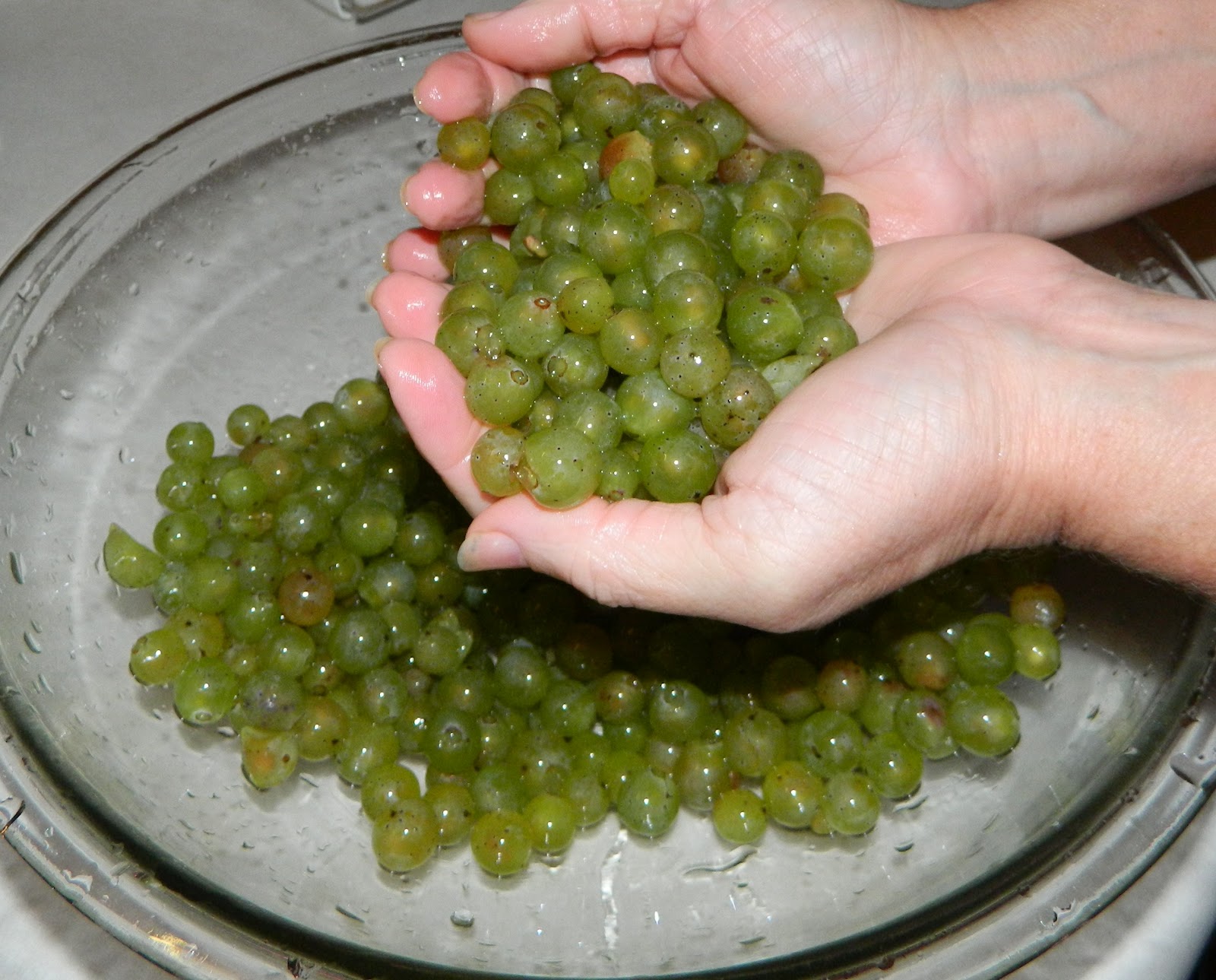 Lise's Log Cabin Life: Making Riesling Wine