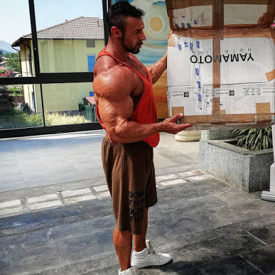 world bodybuilders pictures: italy bodybuilder Fabio Romagnolo