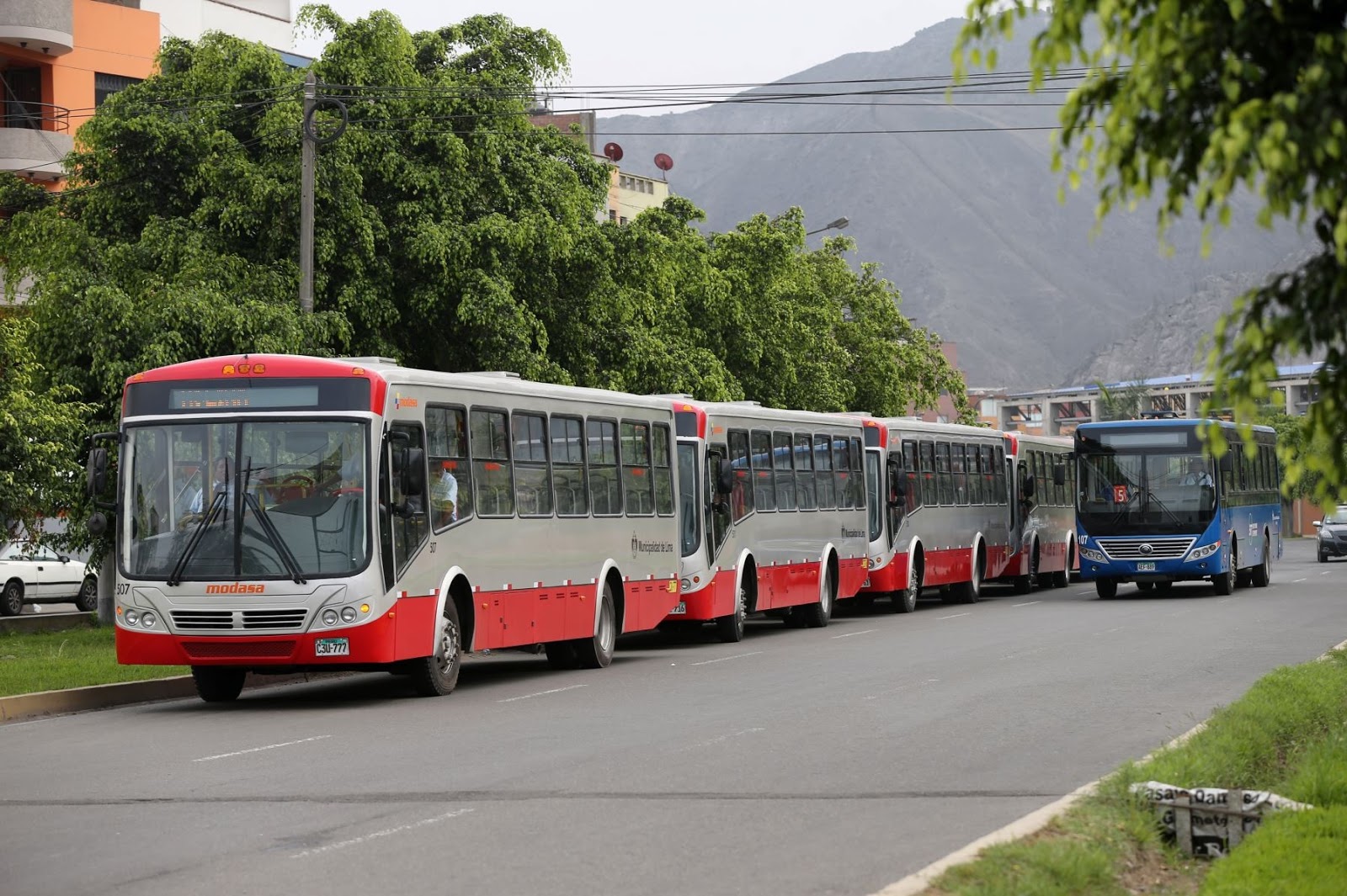 DESARROLLO PERUANO: Más Buses, para Consolidar un Necesario Corredor
