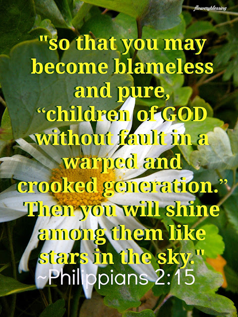Flowery Blessing: "'so that you may become blameless and pure ...