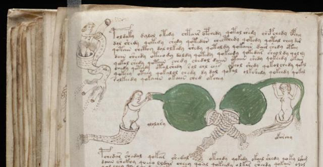 MS: Códice Voynich: El libro más misterioso y críptico del mundo