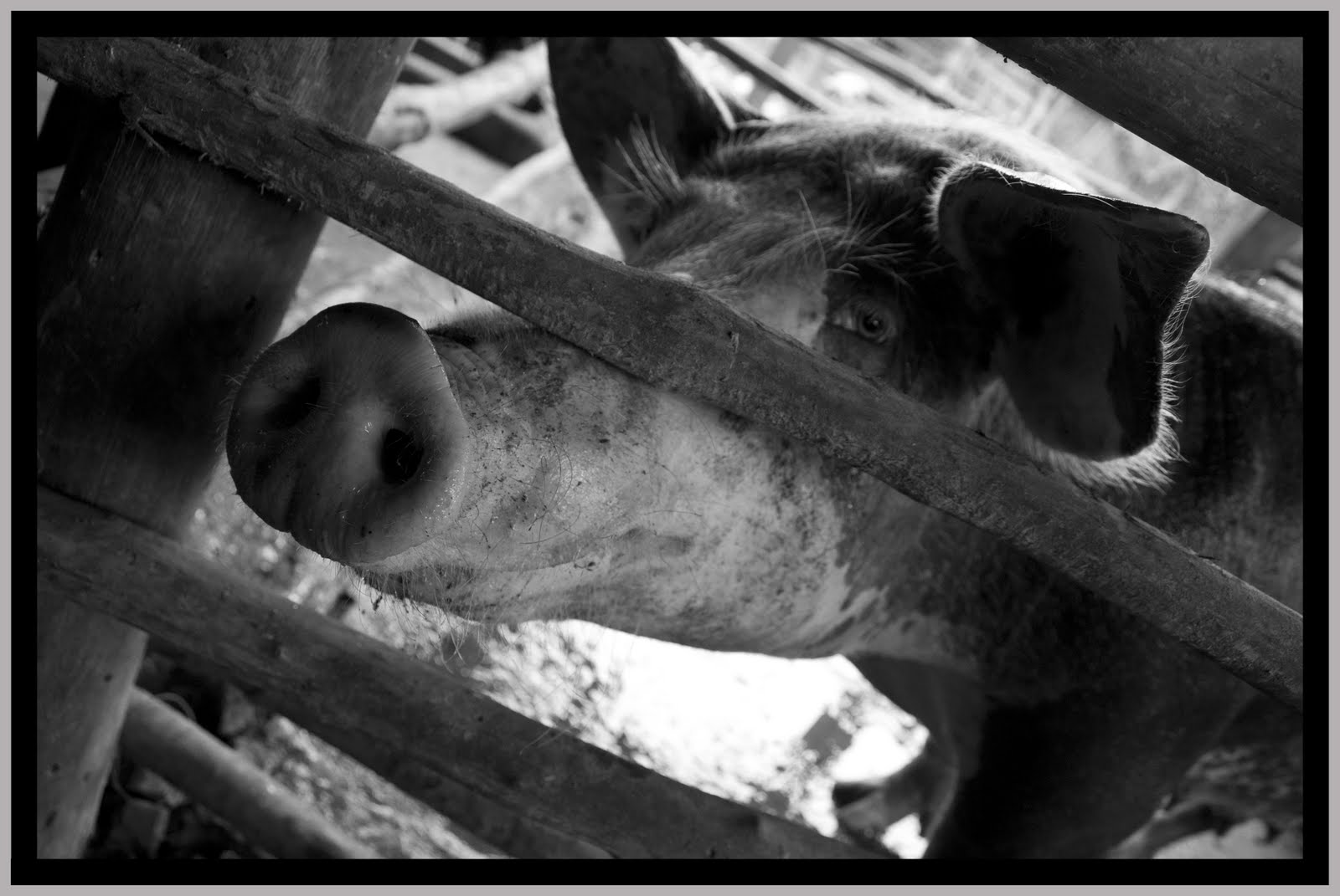 Paul's Photo Blog: Life at the Orphanage