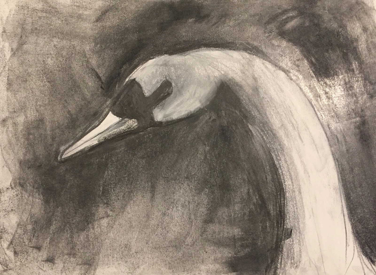 Doodlebug Dabblings: swan drawings