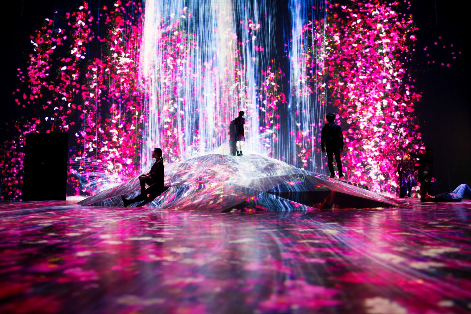 ::B L O G H I S T A P E R C A S O::: teamLab :: Borderless