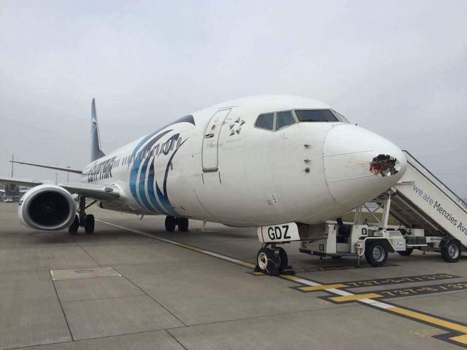 EgyptAir plane left with bloody dent after bird strike