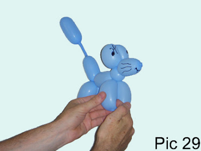 CLASSICAL: Balloon dog