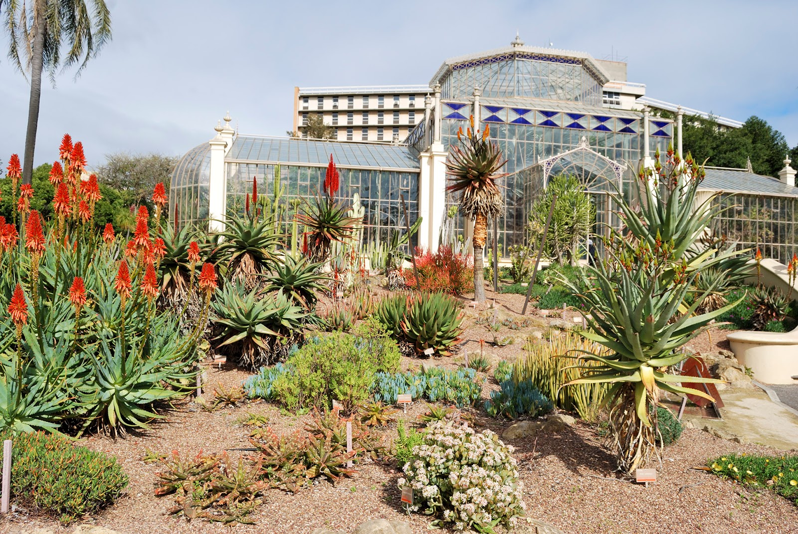 The Australia Series: Honeymooners in Adelaide | Memories of the Pacific