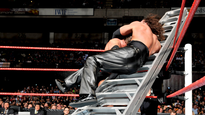 WORLD WRESTLING ENTERTAINMENT: WWE Triple H And Kevin Nash IN TLC