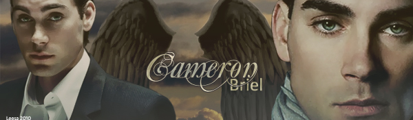 Media Reviews: Books: Fallen Series by Lauren Kate