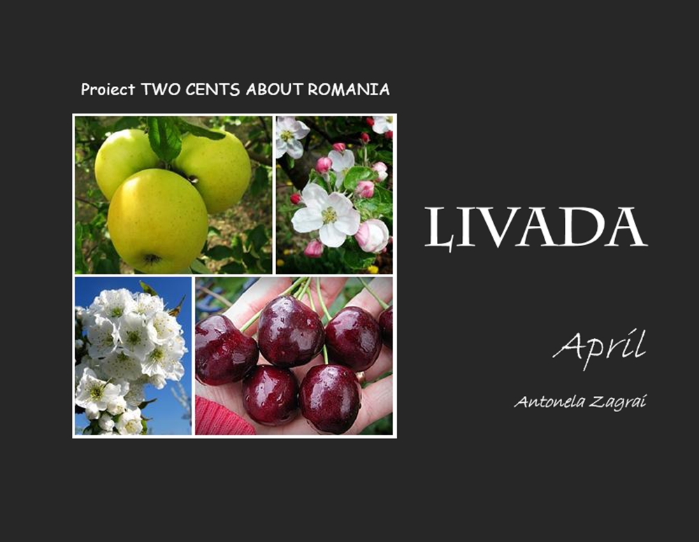 Petale-n zbor: LIVADA - Proiect 2 cents about Romania