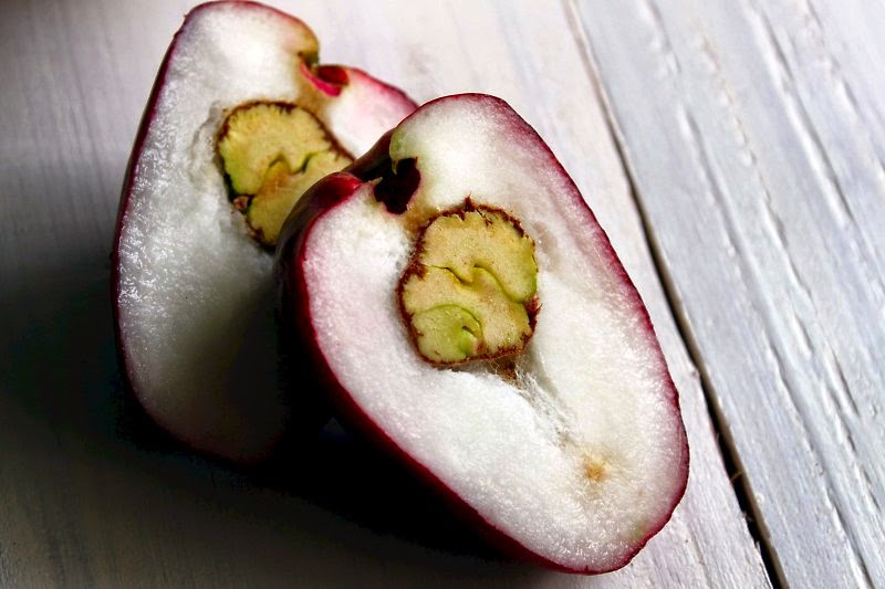 Shake it | dead-hungry