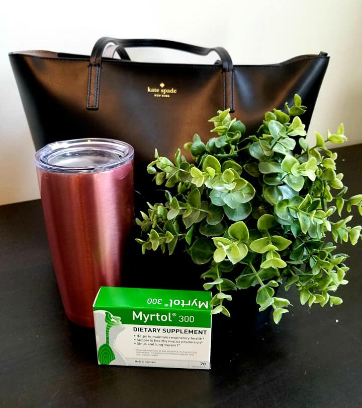 Combat Seasonal Congestion & Maintain Good Respiratory Health with ...