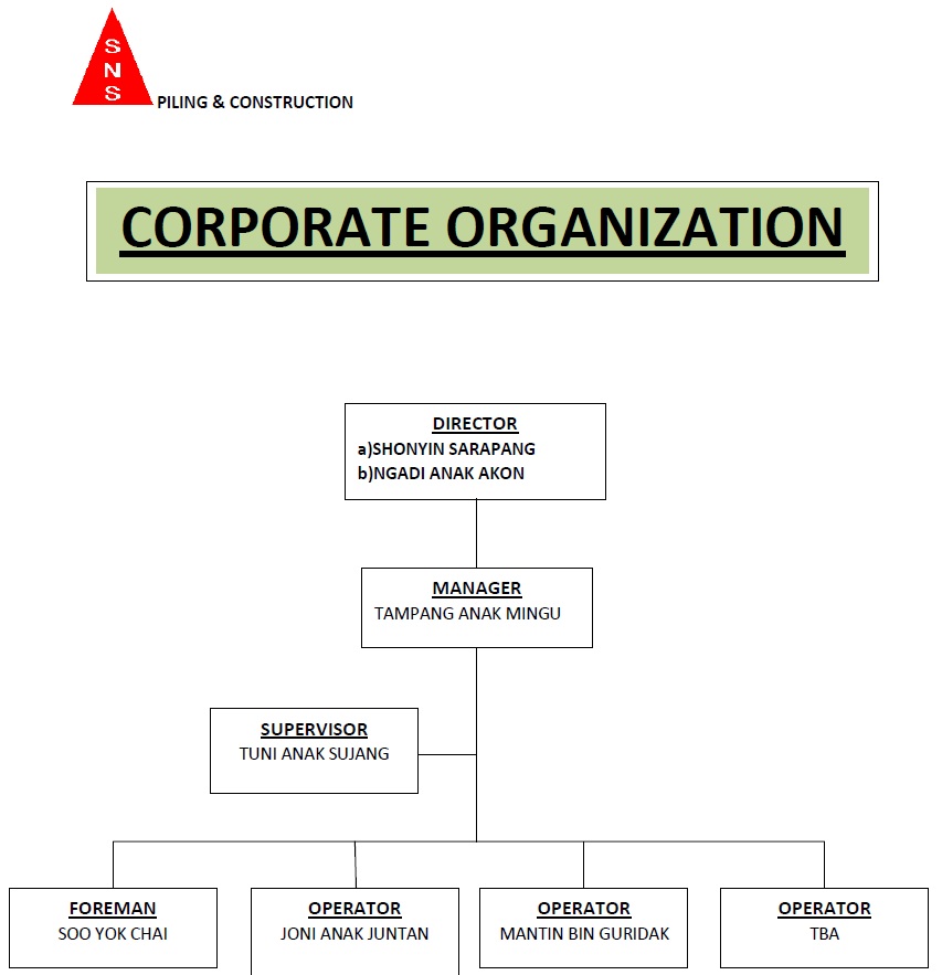 SNS PILING & CONSTRUCTION: SHEET PILES JPS PEKAN, PAHANG