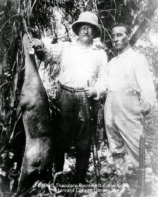 Trilhando a História - Aleks Palitot: A EXPEDIÇÃO CIENTÍFICA ROOSEVELT ...