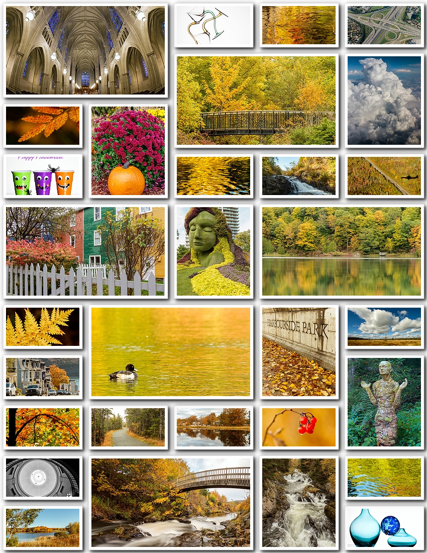 Bitstop: October Collage