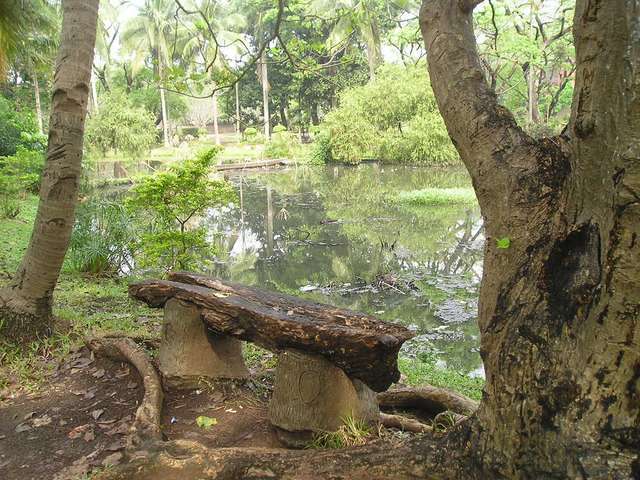 Passing by UP Diliman Lagoon |Filipino Sojourner