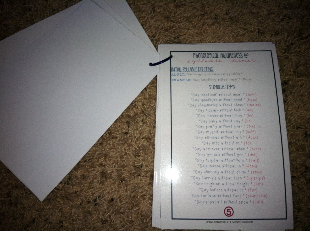 Two Can Do It: Phonological Awareness (K-1 Common Core Aligned)