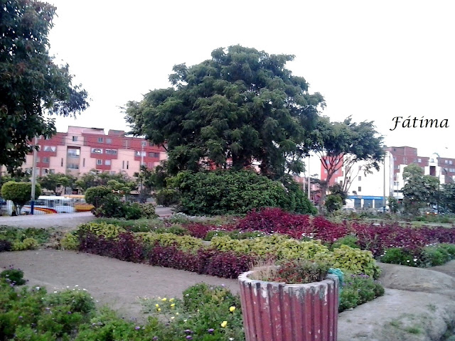 Fátima Rodríguez Serra: Parque Reducto Nº 5 en Surquillo