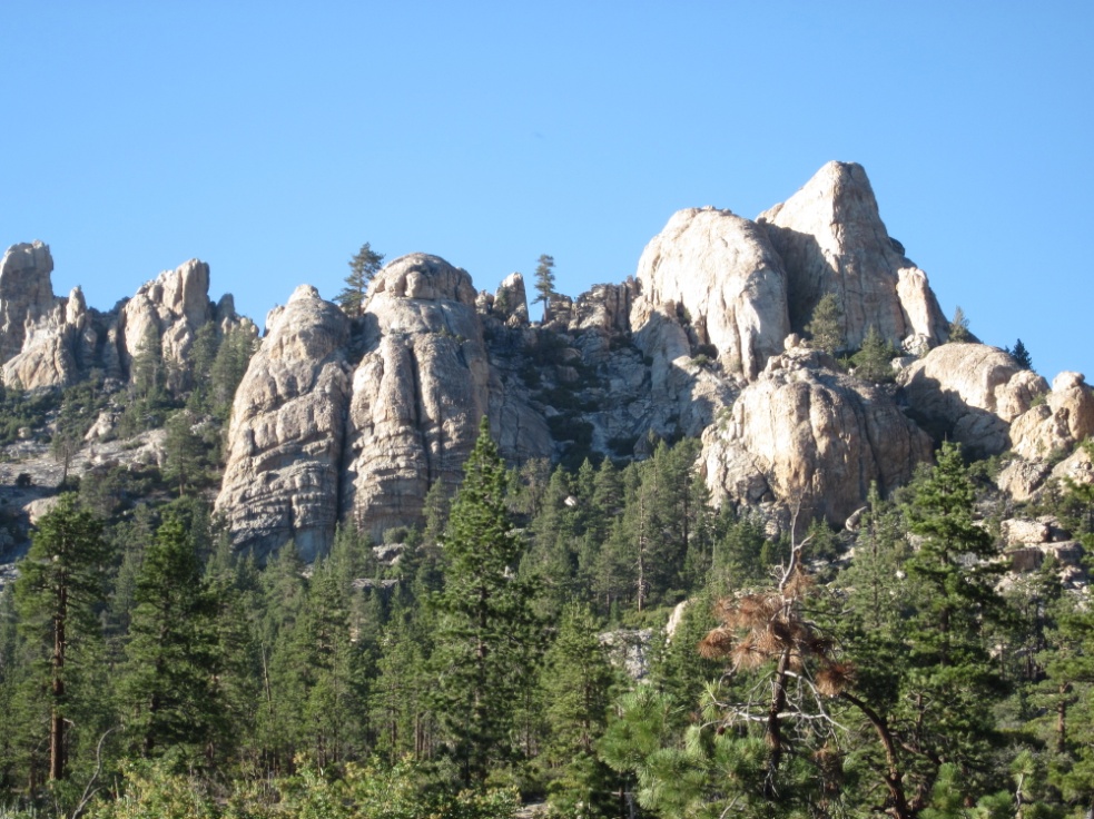 The Rare Plant Treasure Hunt