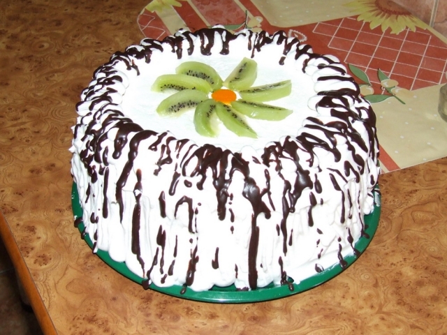 Modele Tort: TORT DIPLOMAT