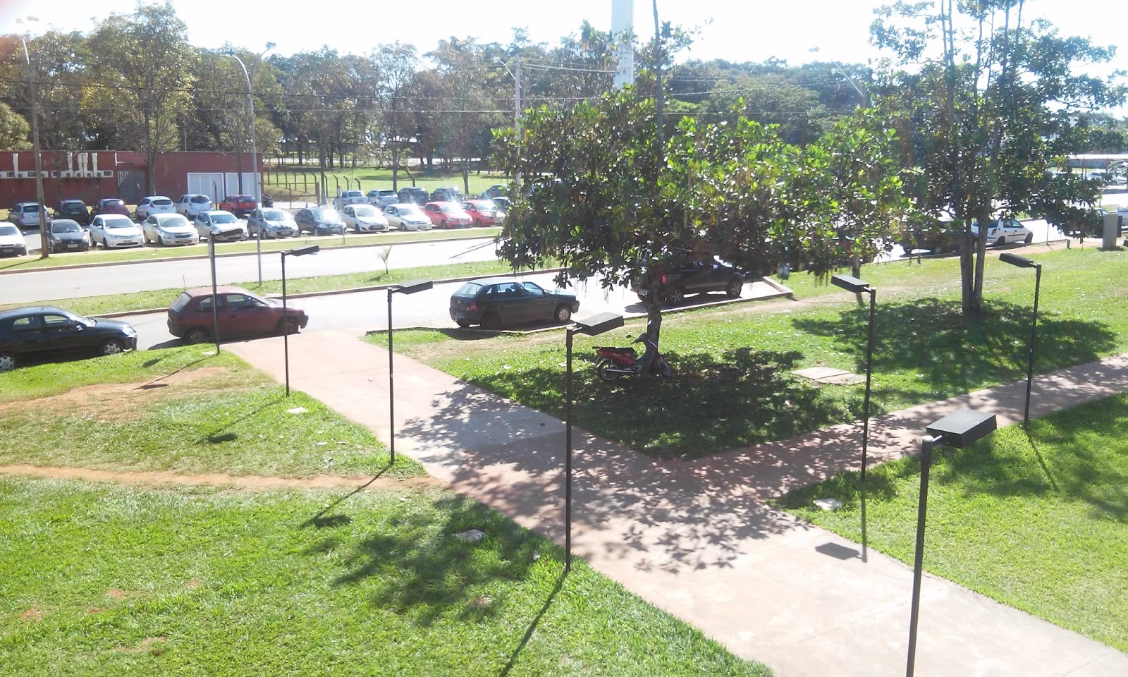 LEITURA E PRODUÇÃO TEXTUAL FL-UFG-2020: Faculdade de Letras - UFG