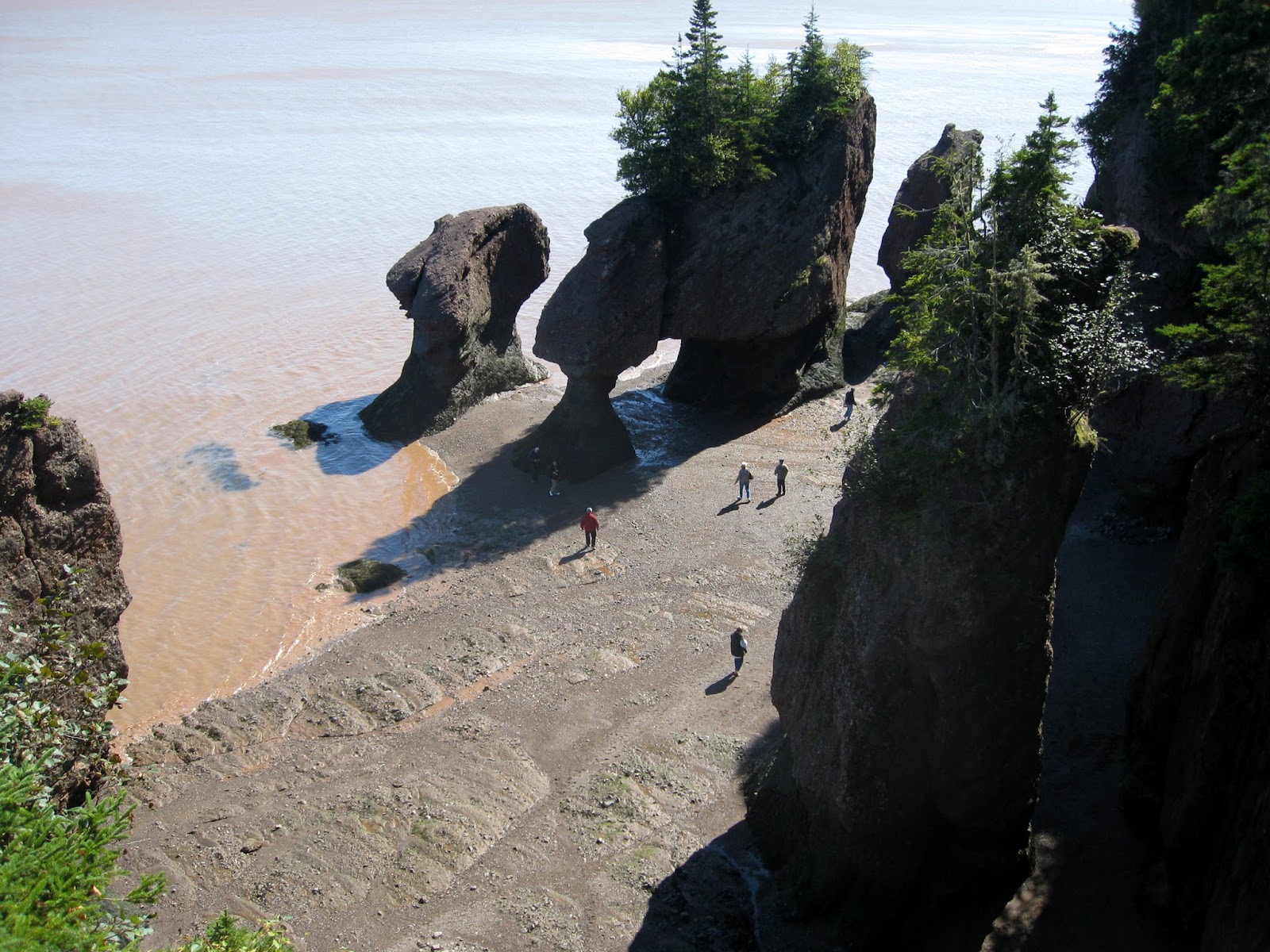 Elephant Rock Collapses - Hopewell Rocks, Nova Scotia