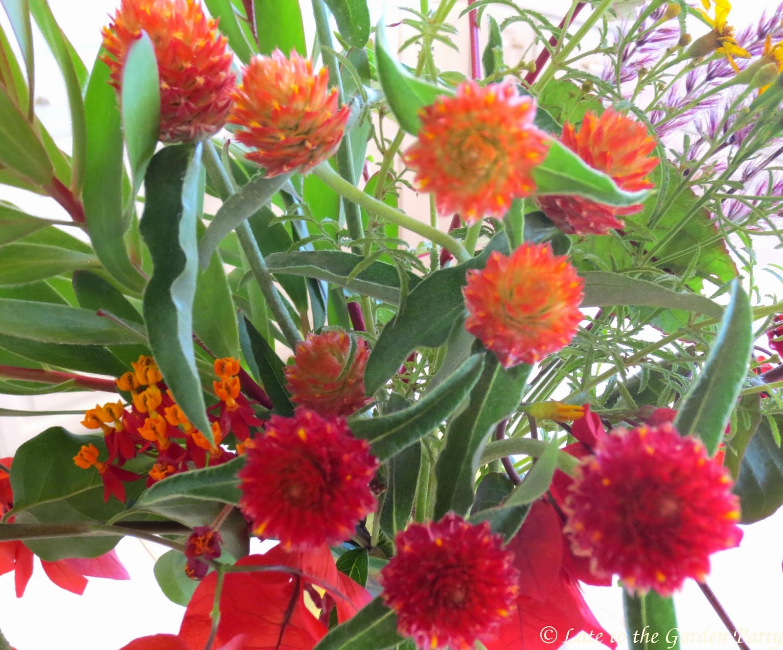 Late to the Garden Party: In a Vase on Monday: Survivor Story