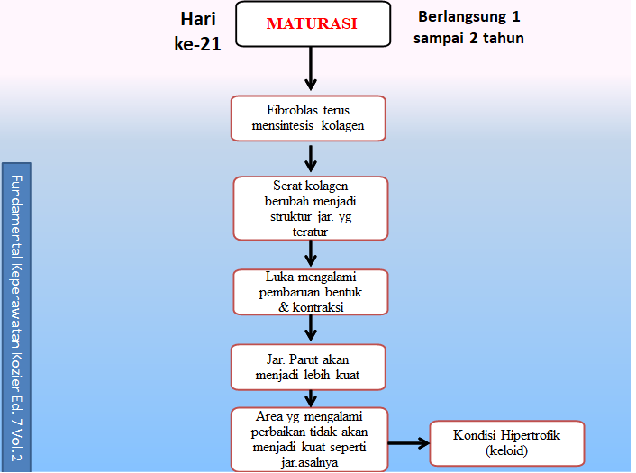 KEPERAWATAN DASAR : PENYEMBUHAN LUKA