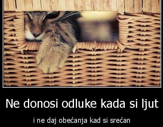 Najgluplje glupe smiješne stvari izreke anegdote aforizmi izjave i ...