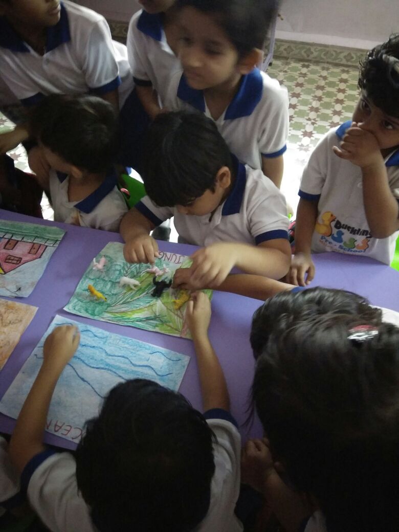 Ducklings Pre-School: Animal segregation activity done at school