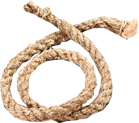 ZOOM DISEÑO Y FOTOGRAFIA: sogas, elementos de marina, brushes