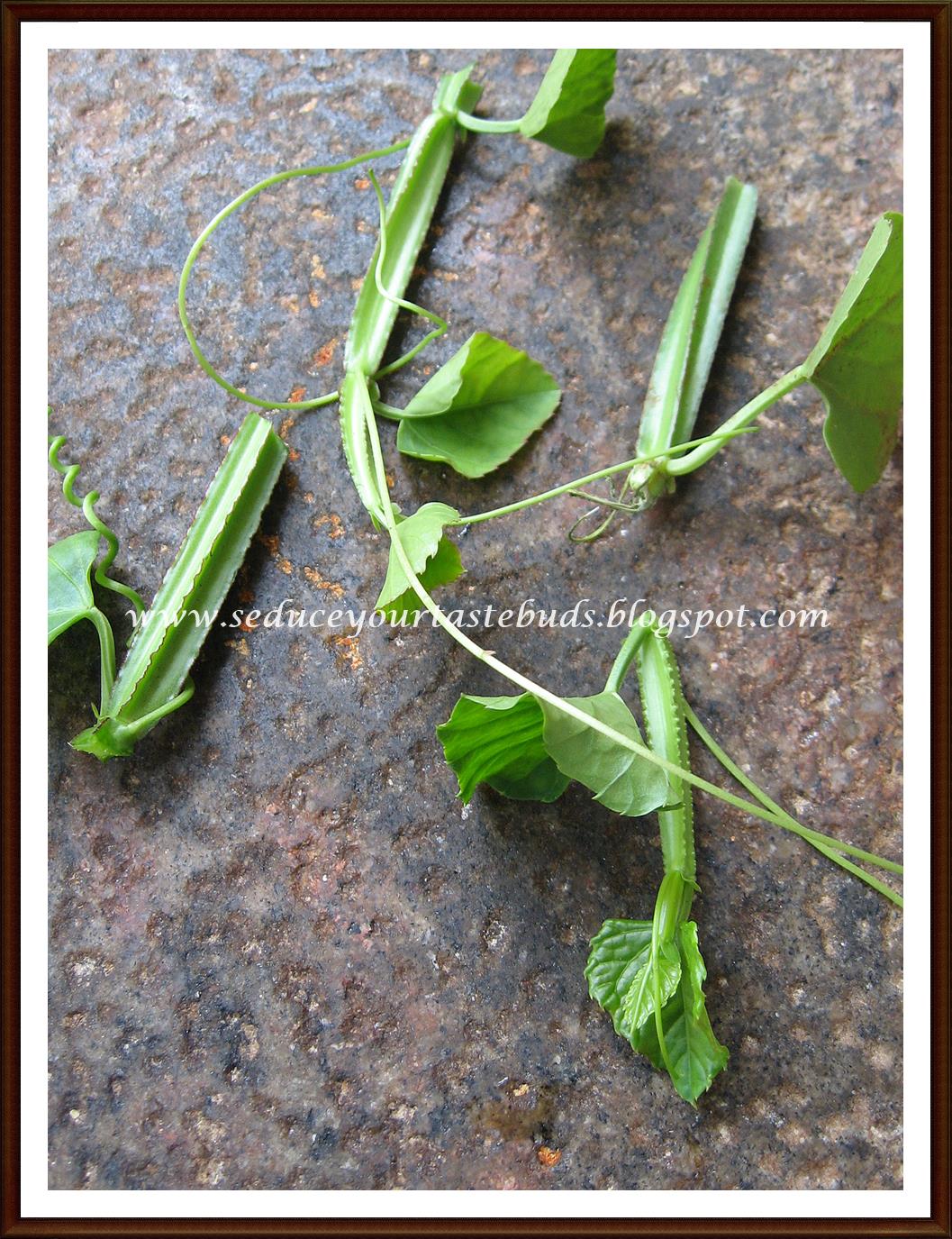 Pirandai Thuvayal / Pirandai Chutney - Seduce Your Tastebuds...