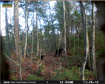 The Bigfoot Field Journal: "Plot Watcher" Camera Set Up Near Bigfoot ...