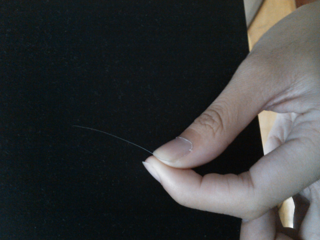 僕の見ている風景: Strand of White Hair?!?!