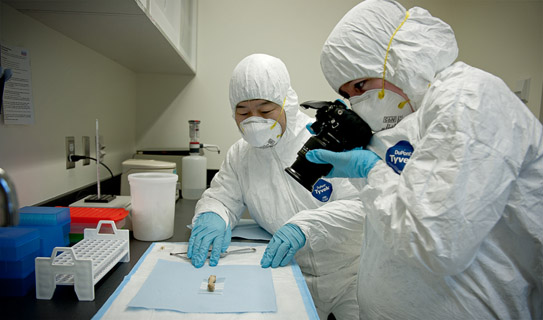 The O J Simpson Case Forensic Analyists the-o-j-simpson-case-forensic-analyists