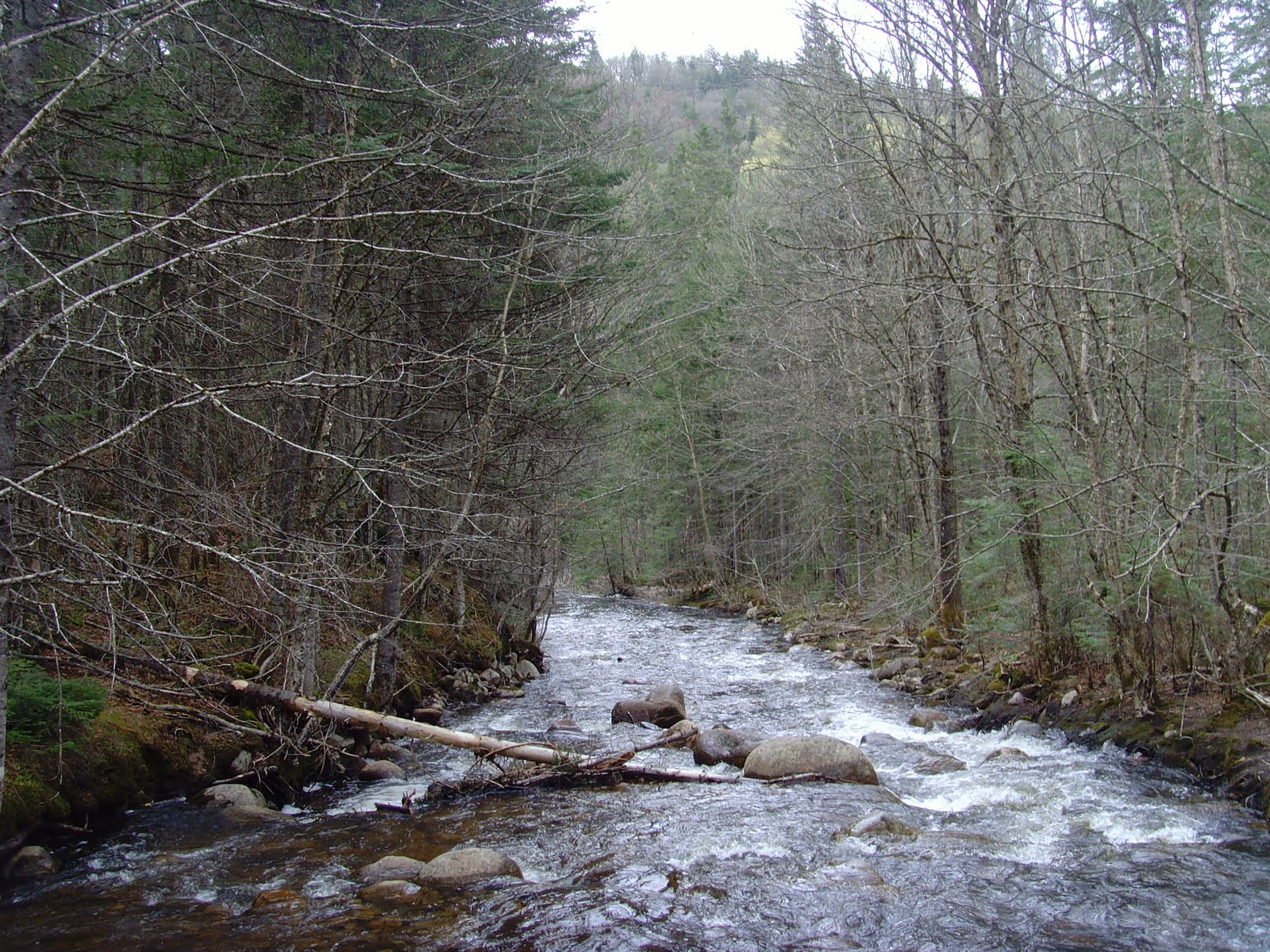 JE ME SOUVIENS: Parc National : Jaques-Cartier ( 3ème partie )