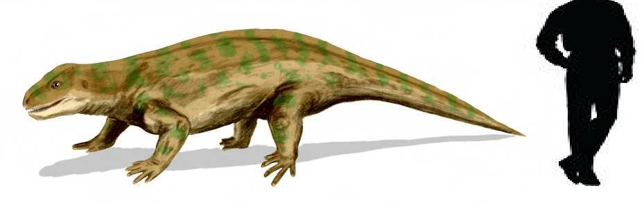 Los animales en la prehistoria: Animales prehistóricos con la letra D