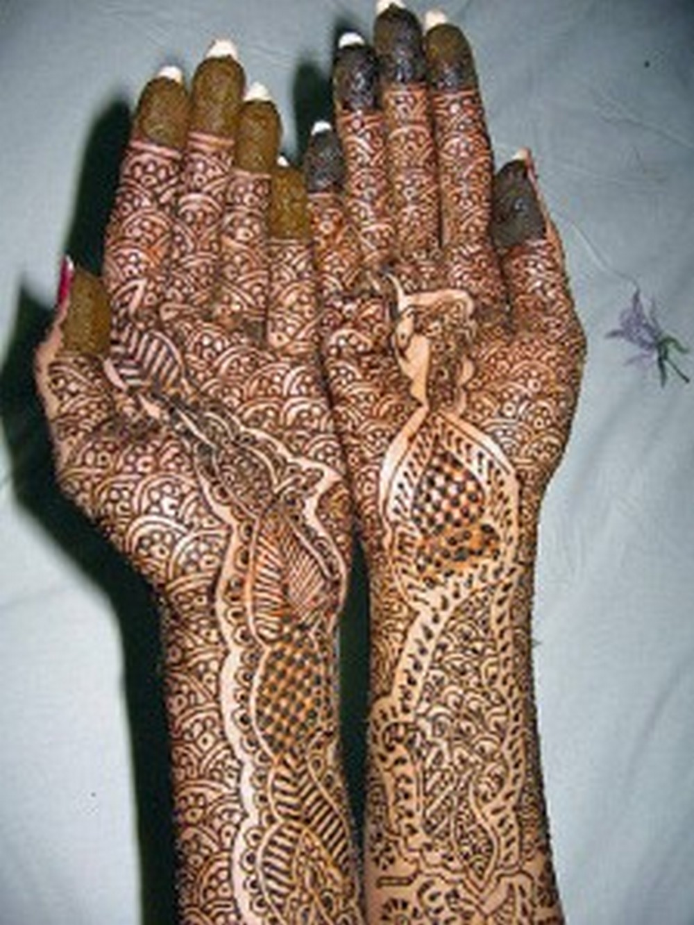 Hands Latest Dulhan Mehndi Designs For Bride | Latest Pakistani,Arabic ...