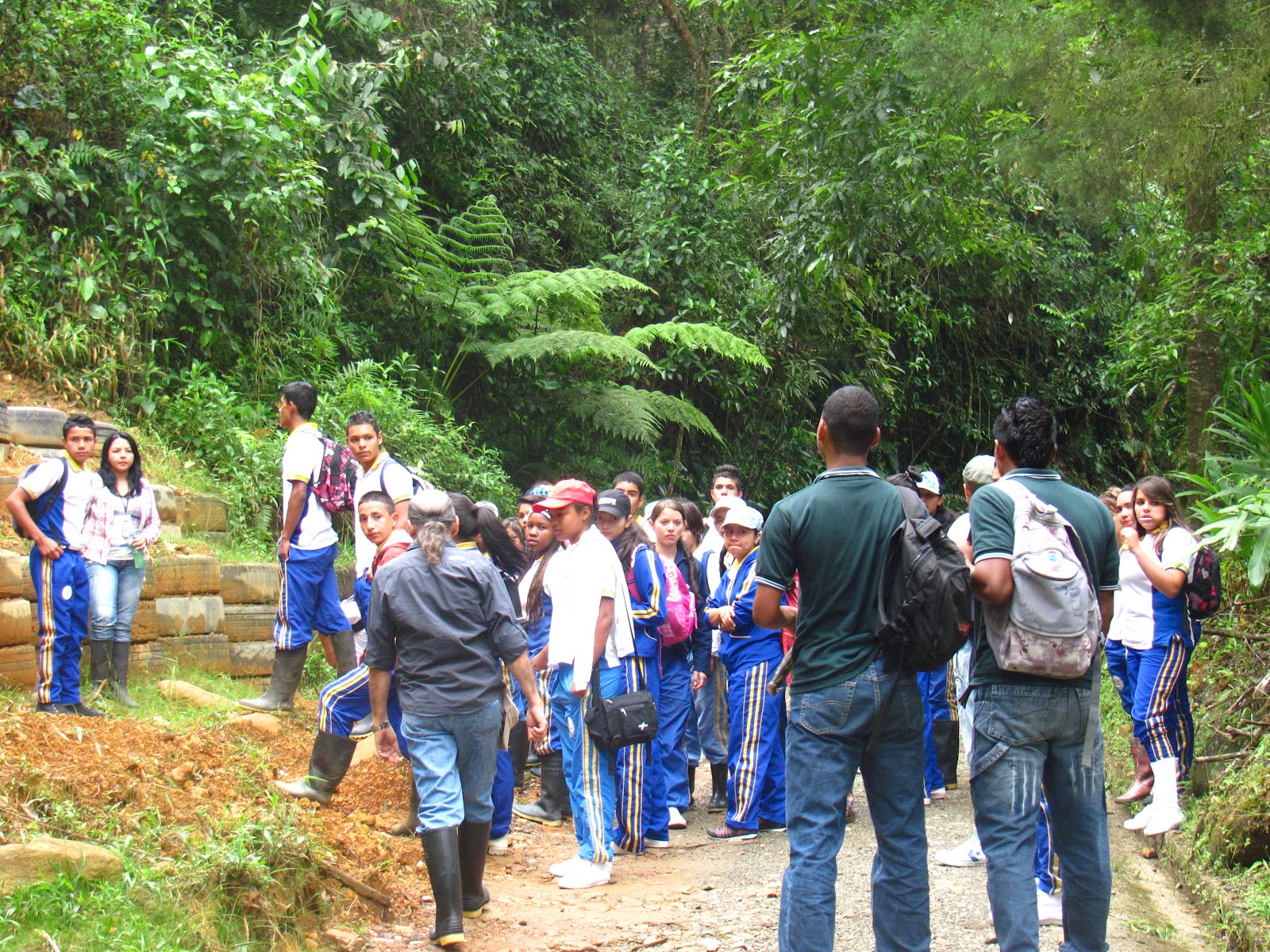 CONVIVIR PARA APRENDER I.E SOL DE ORIENTE: FOTOS PROYECTOS